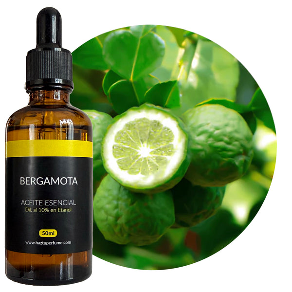 Bergamota Calabria – Haz tu Perfume
